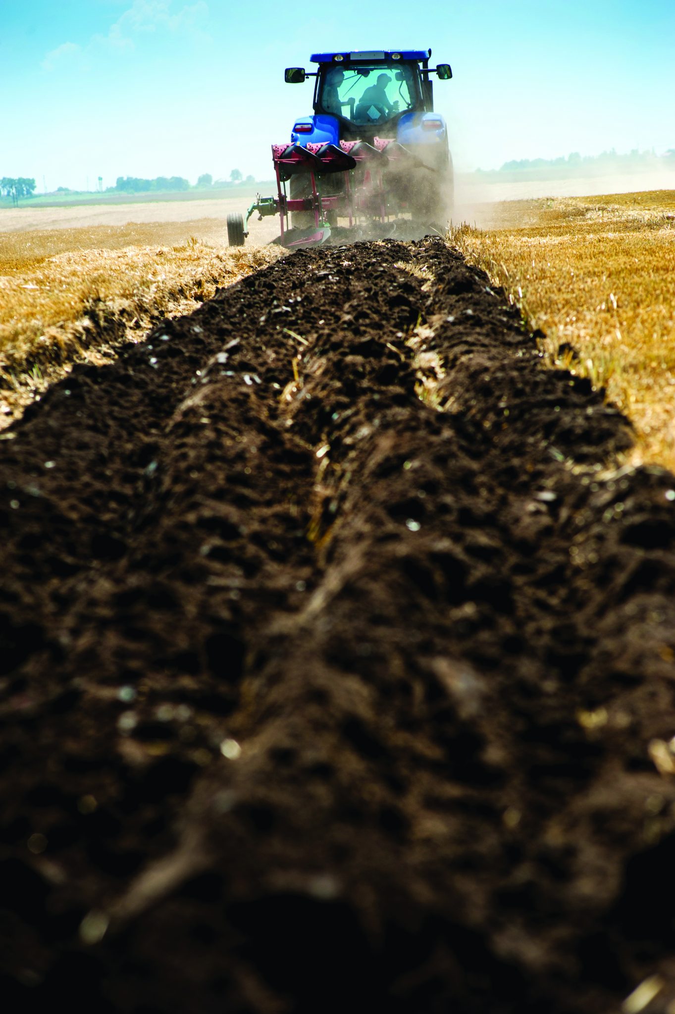 Zombie Soil - Countryside
